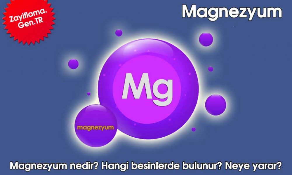 Magnezyum | Magnezyum Nedir? Magnezyum Eksiliği | Mineraller