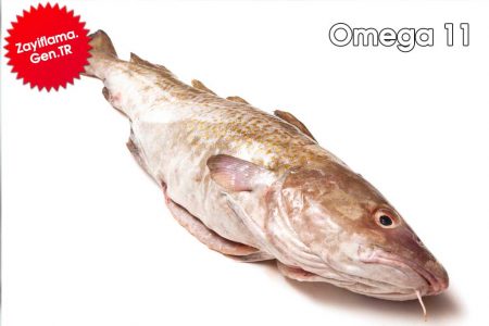 Omega-11 | Omega 11 Nedir? Omega 11 Nelerde Bulunur? | Omega