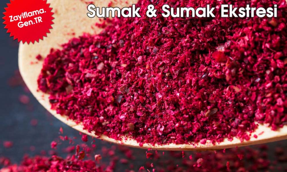 Sumak | Sumak Ekstresi - Sumak Faydaları - Sumak Antioksidan